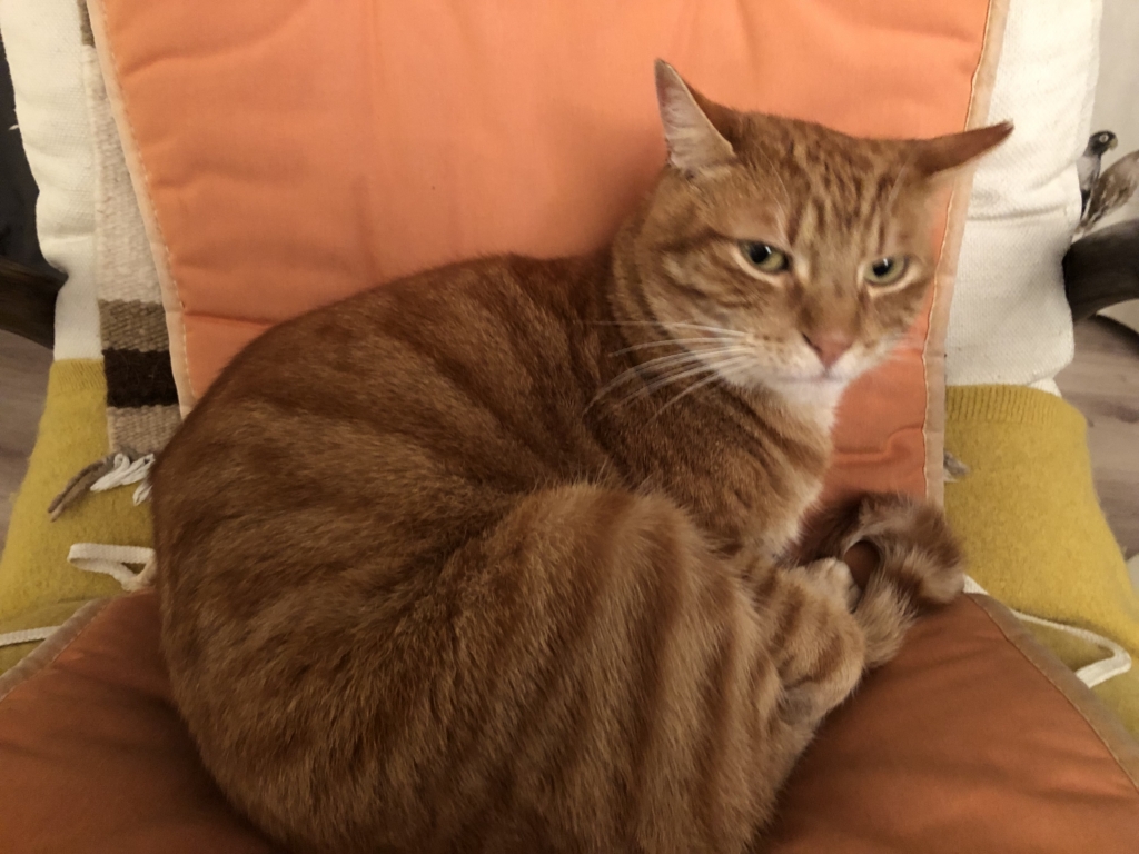 UVD - Tournée Minérale